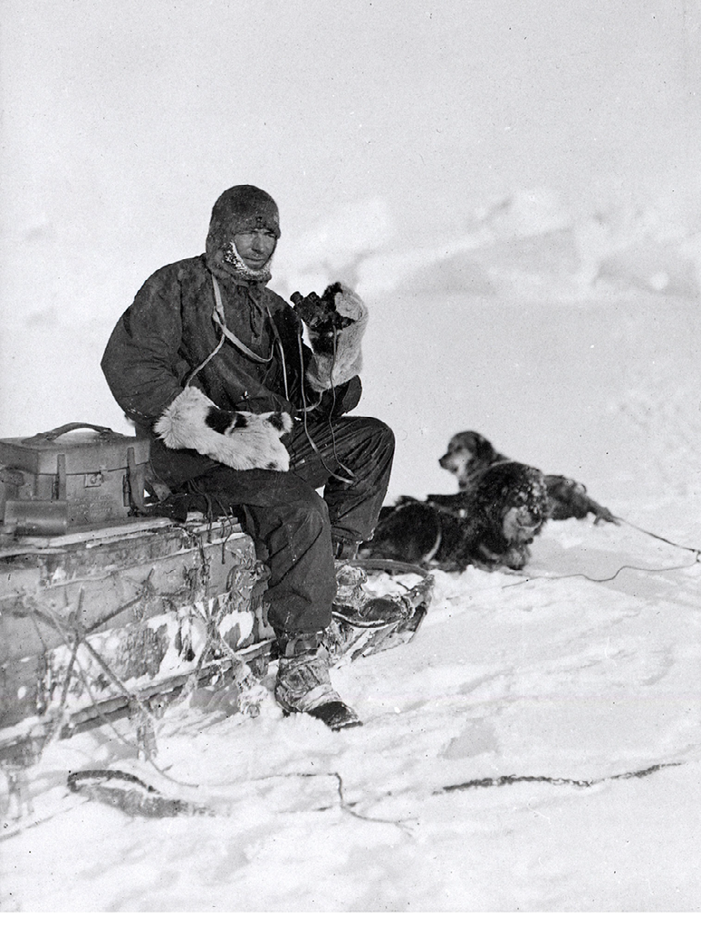 Expedition Guide Alex Krowiak on Photographing Antarctica | Field Mag
