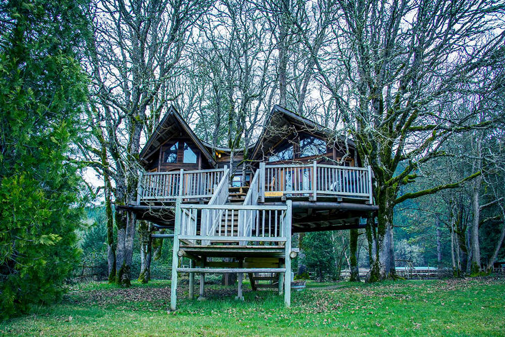 Treehouse Rentals in Oregon: The 11 Best on Airbnb | Field Mag