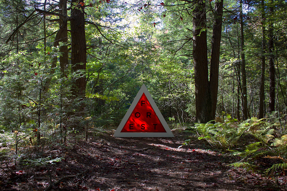 Artist David Buckley Borden & The Hemlock Hospice | Field Mag