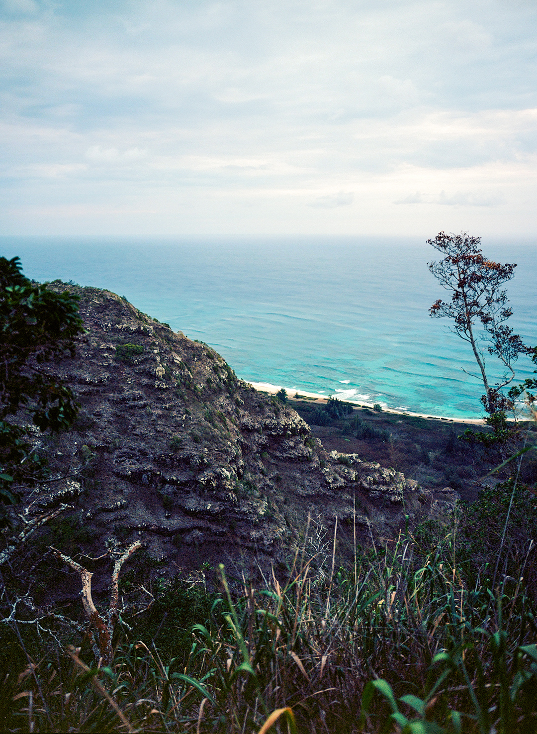 A Glimpse of the Future of Surfing at Vans Pipe Masters | Field Mag
