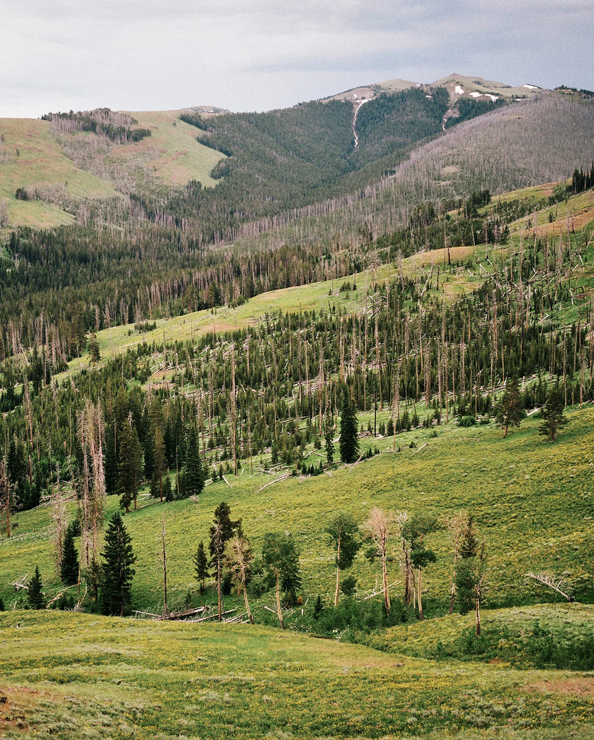 26 Photos of Driving a 1970 VW Bus Cross Country | Field Mag