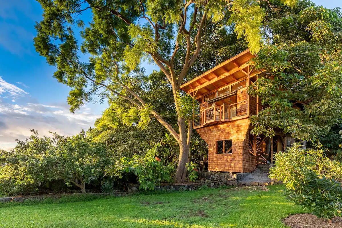Coolest Tree Houses Ever Built