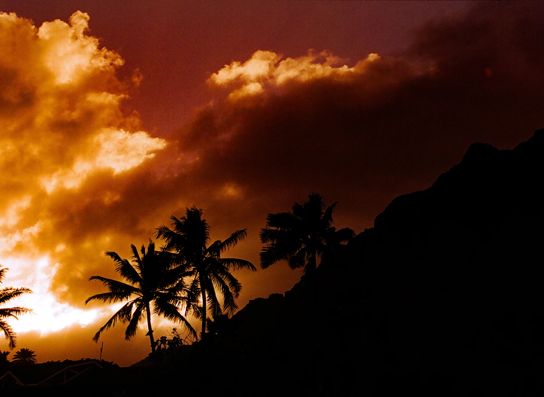Keeping Legacy Alive at the Vans Pipe Masters | 35mm Photos | Field Mag