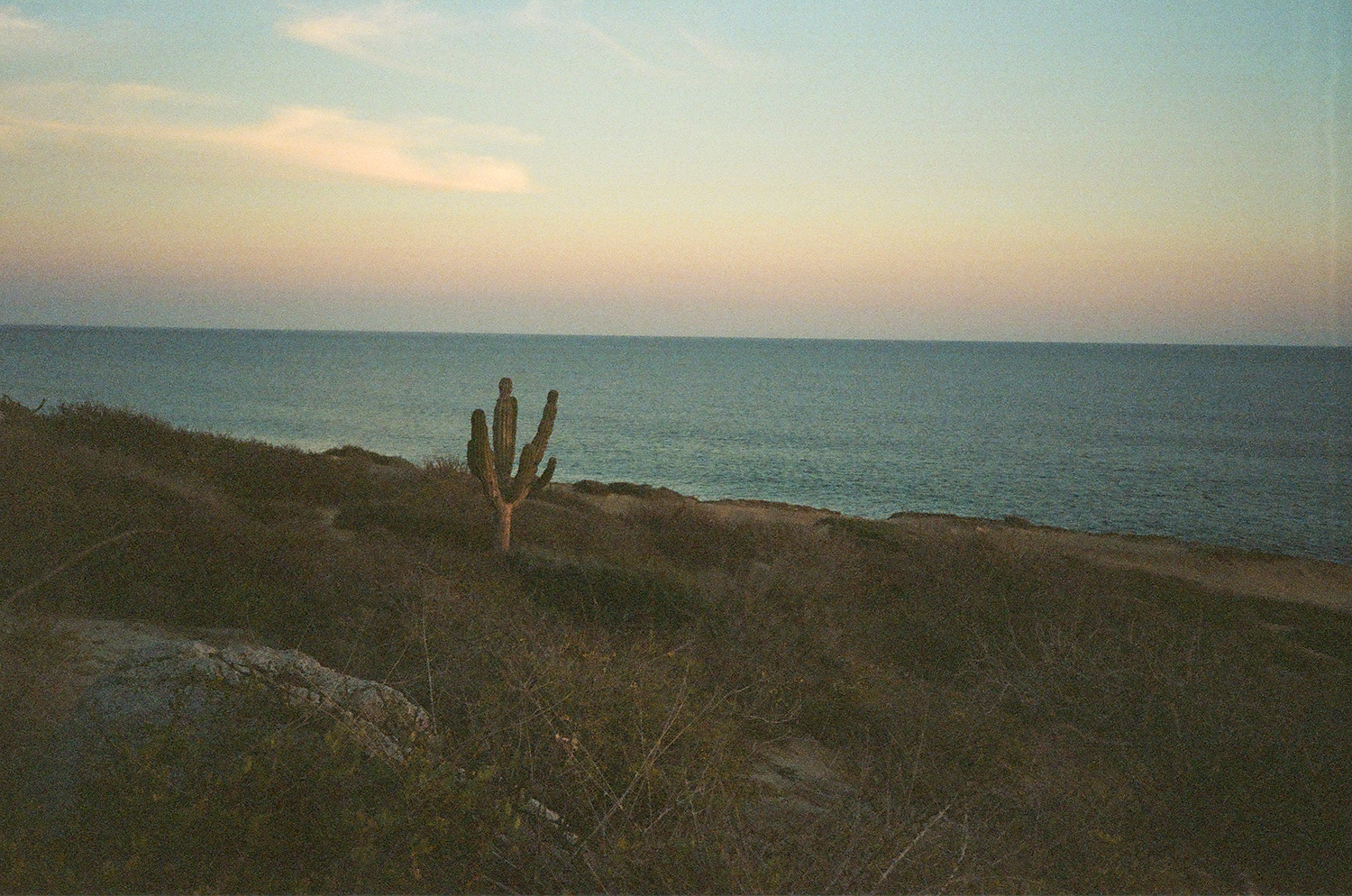 Baja Road Trip: From Cabo to the Sea of Cortez on Film | Field Mag