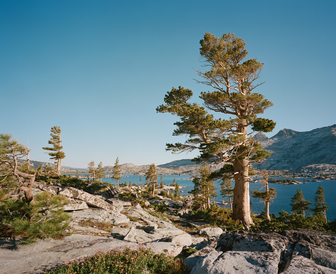 California's Desolation Wilderness Area Caught on Film | Field Mag