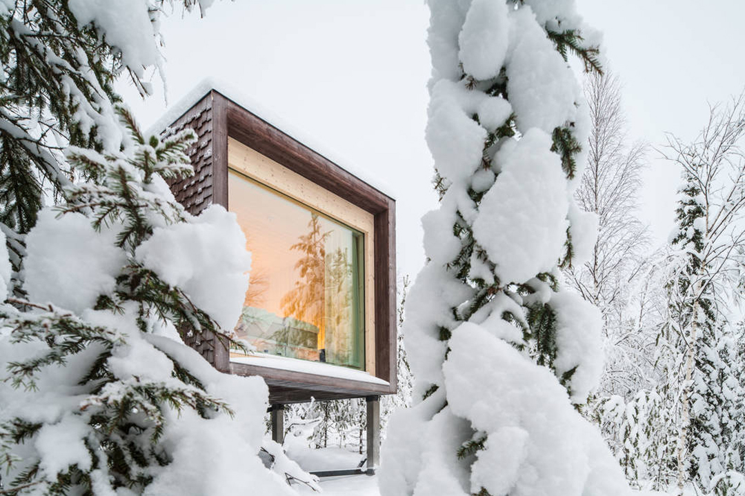 At Arctic TreeHouse Hotel See Northern Lights From Bed | Field Mag
