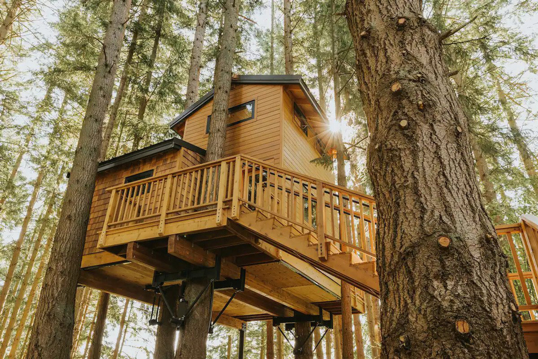 14 Best Washington Treehouse Rentals for Elevated R&R | Field Mag