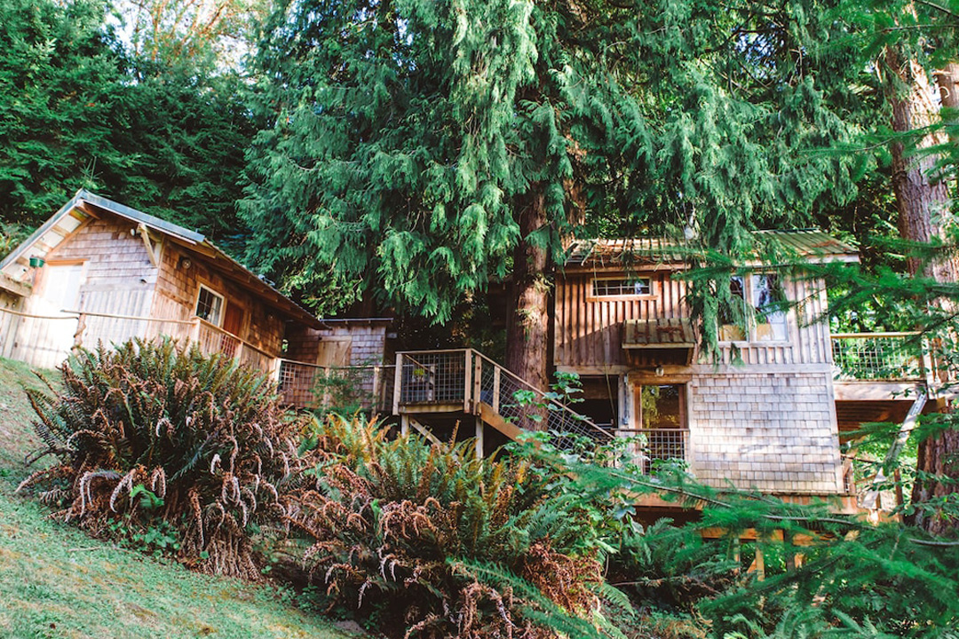 14 Best Washington Treehouse Rentals for Elevated R&R | Field Mag