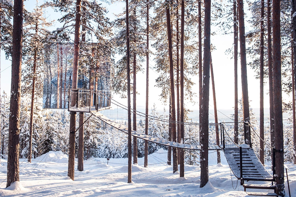 Sweden's TreeHotel Is Made up of 7 Weird Treehouses | Field Mag