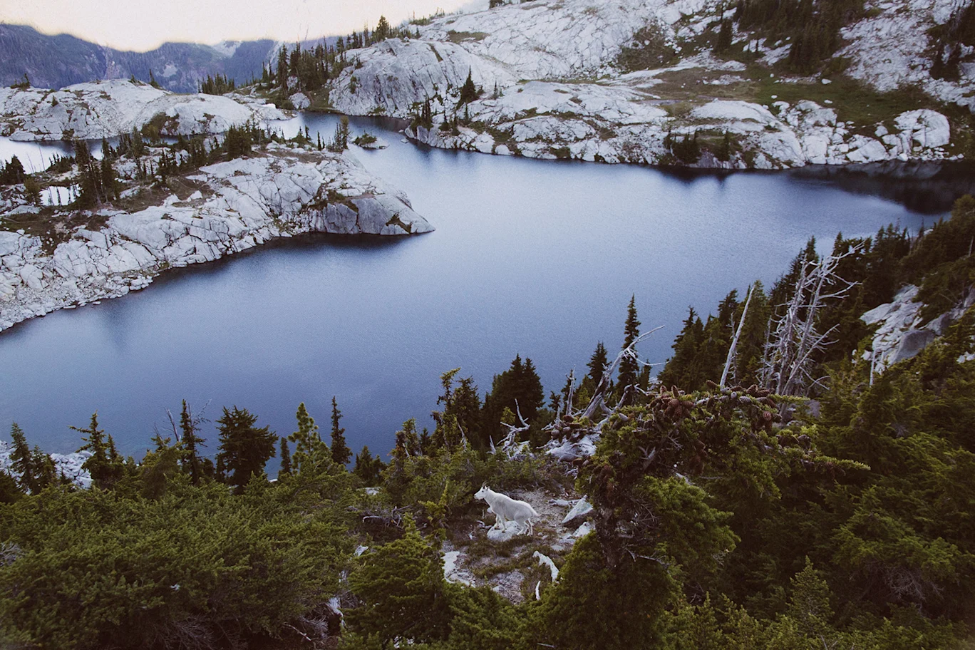 Best Solo Hikes in WA's Alpine Lakes Wilderness | Field Mag