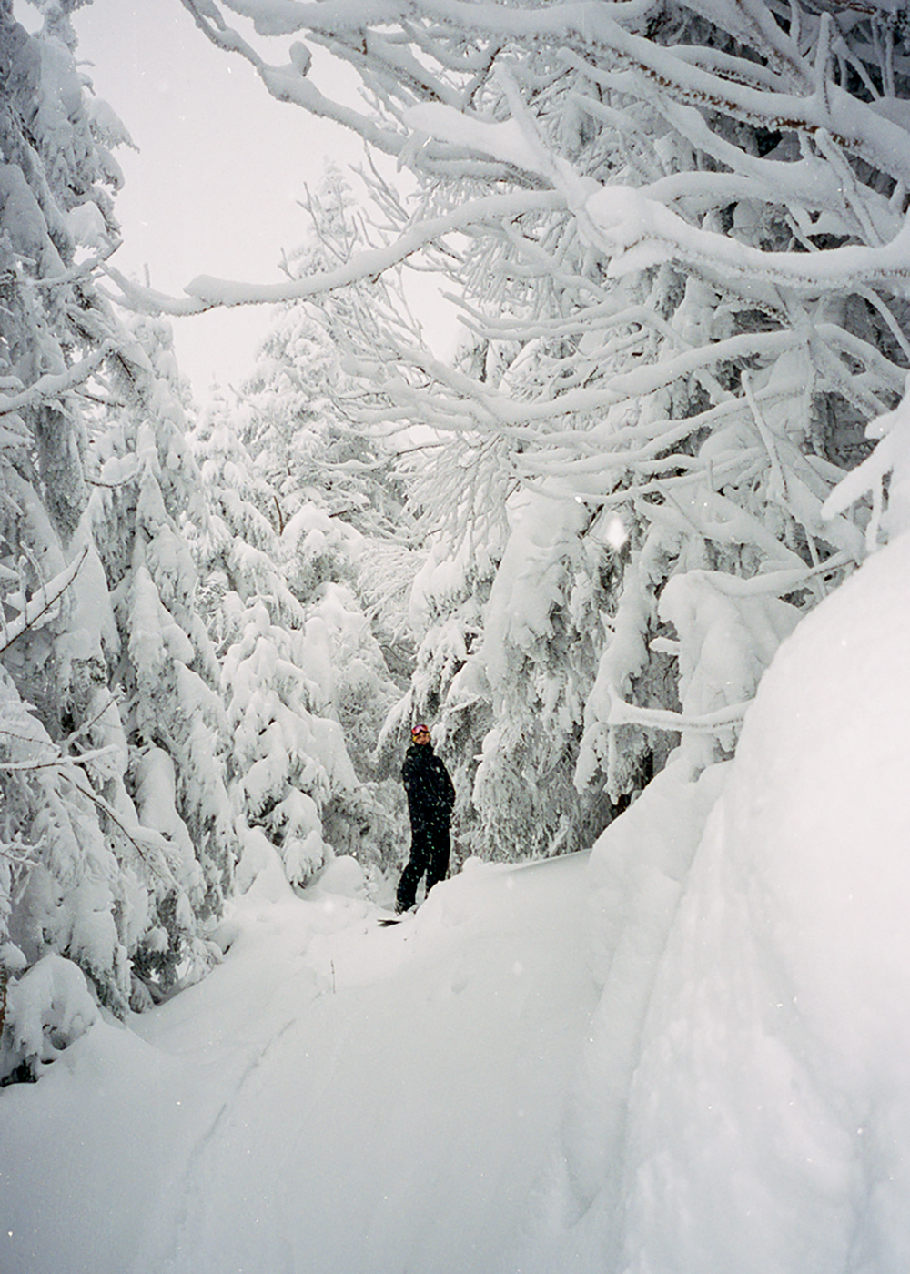 Stowe Vermont Sidecountry | 35mm Photos by a Local | Field Mag