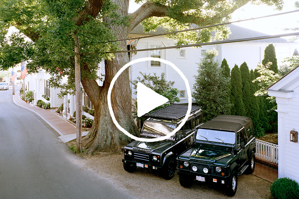 America's Largest Japanese Pagoda Tree | Martha's Vineyard | Field Mag