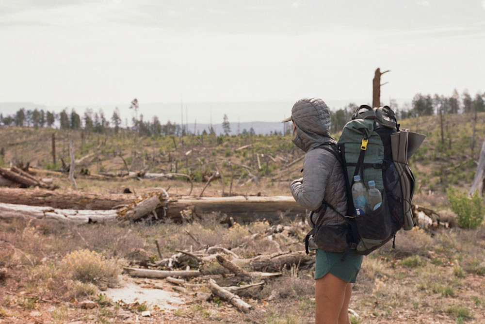 How to Organize and Pack Your Backpack for Hiking | Field Mag