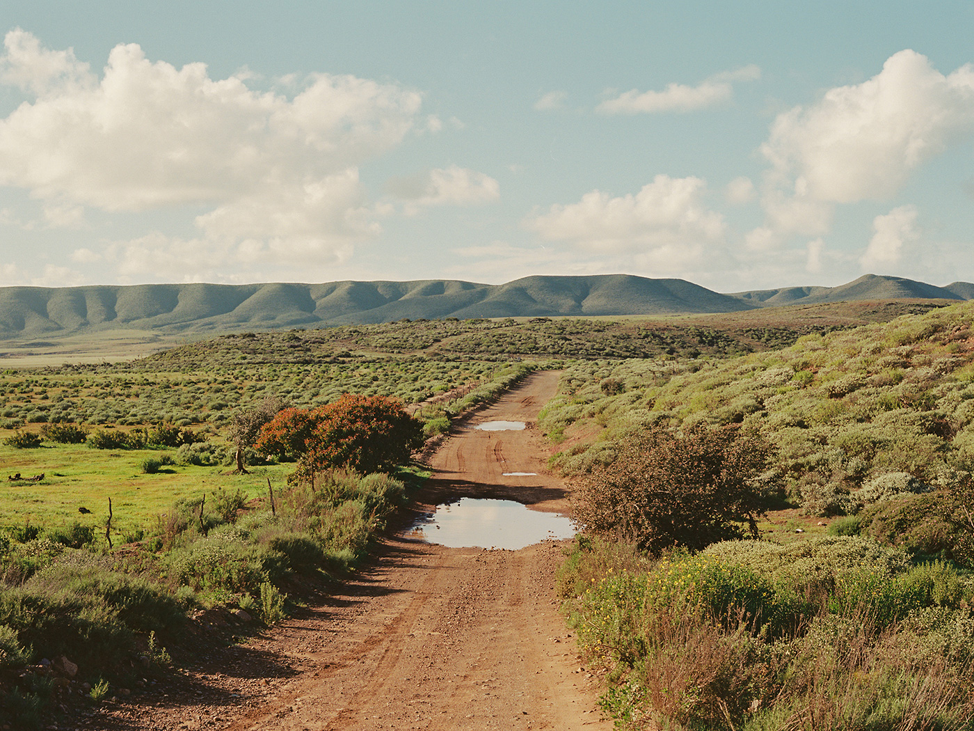 Baja California Road Trip Photography by Brian Chorski | Field Mag