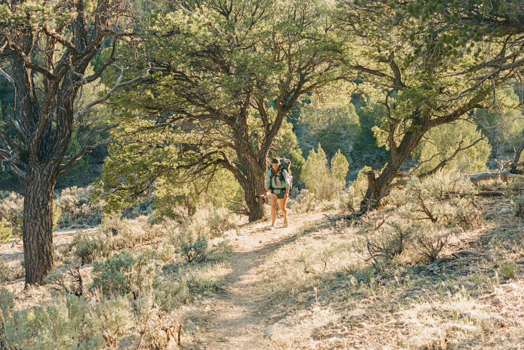 What It's Like to Hike the Arizona Trail | Photo Essay | Field Mag