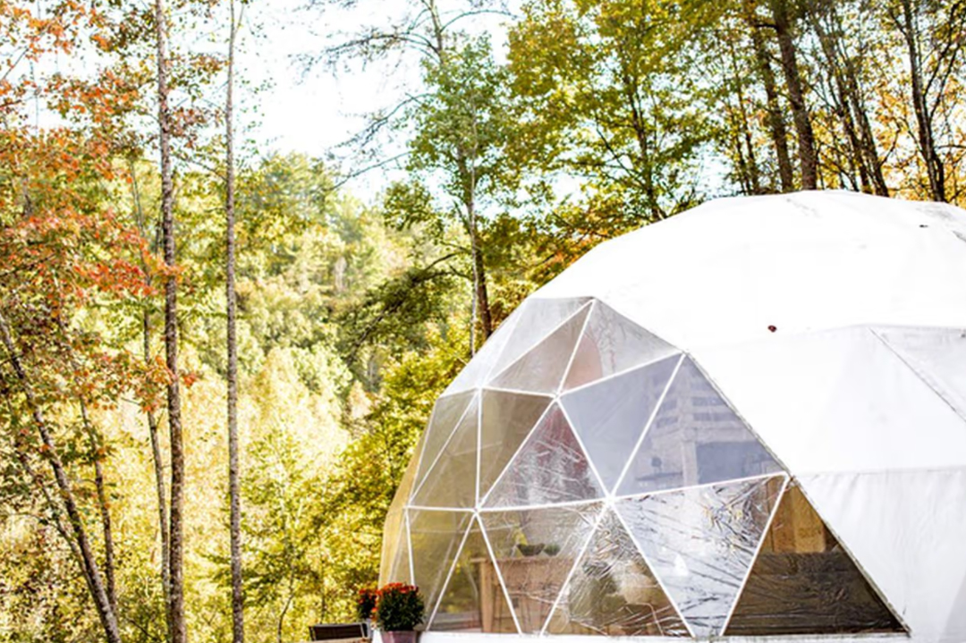 Tennessee Glamping Guide: The 17 Best Spots of 2024 | Field Mag