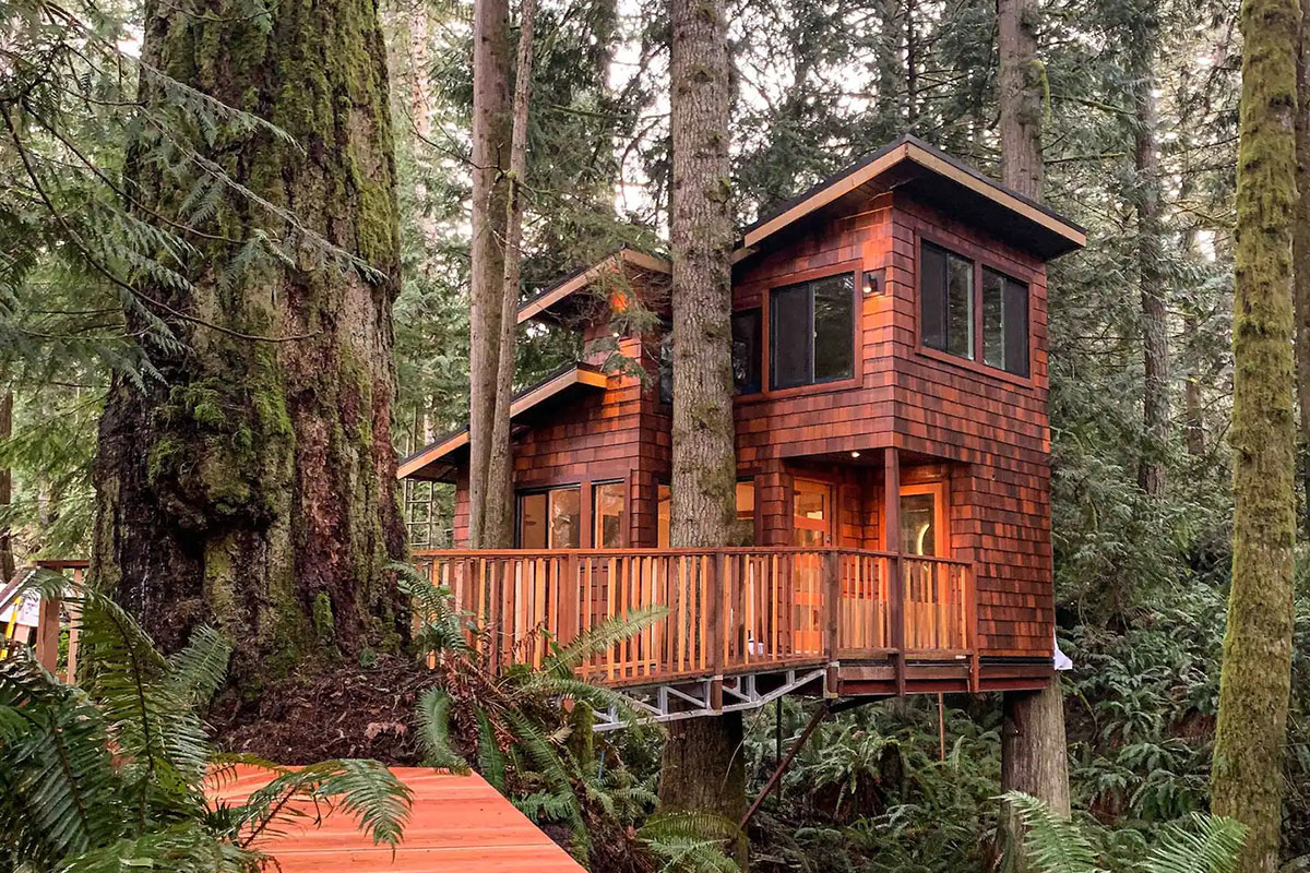 14 Best Victoria, BC Airbnb & Vrbo Vacation Rentals | Field Mag