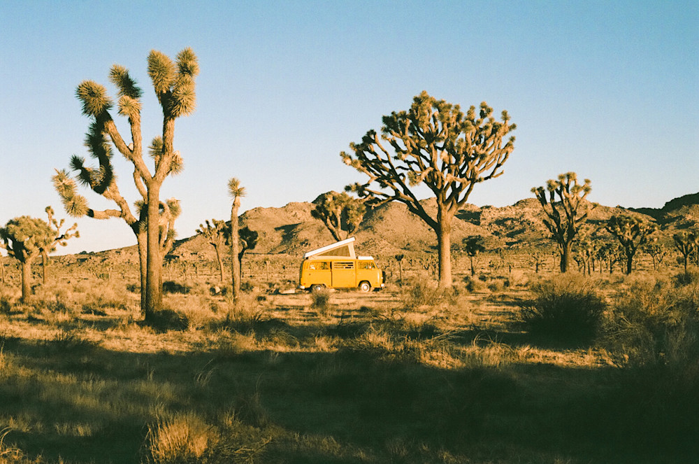 Desert Dwelling Van Lifers in Joshua Tree National Park | Field Mag