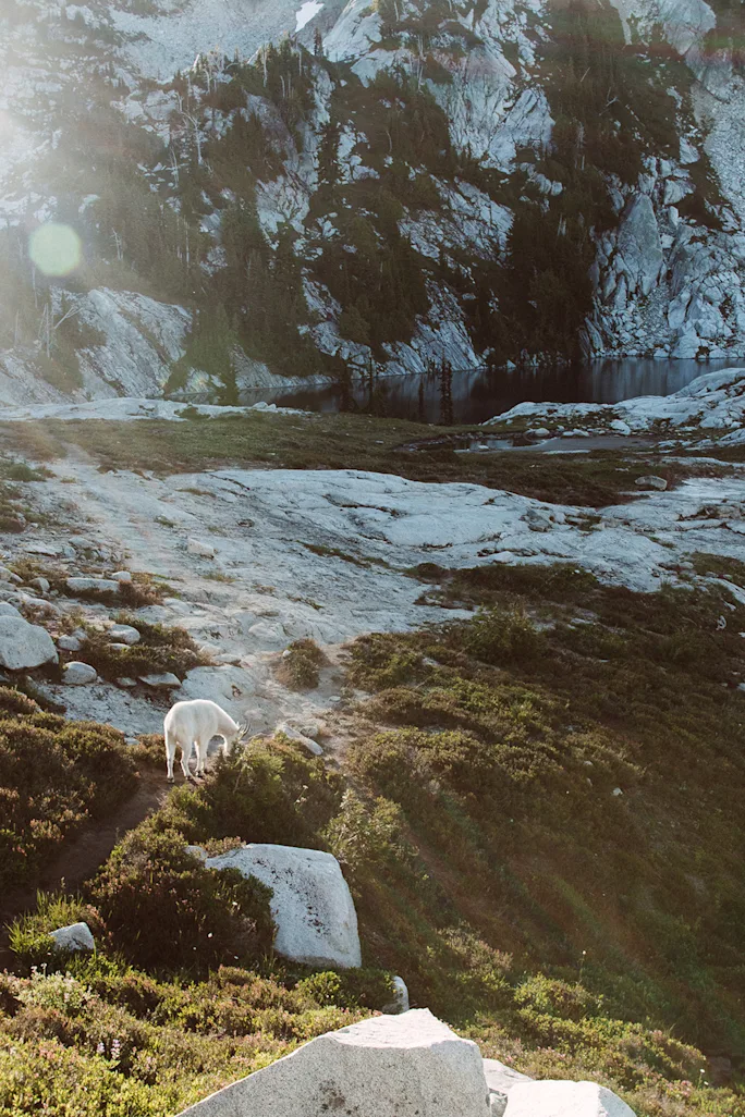 Best Solo Hikes in WA's Alpine Lakes Wilderness | Field Mag