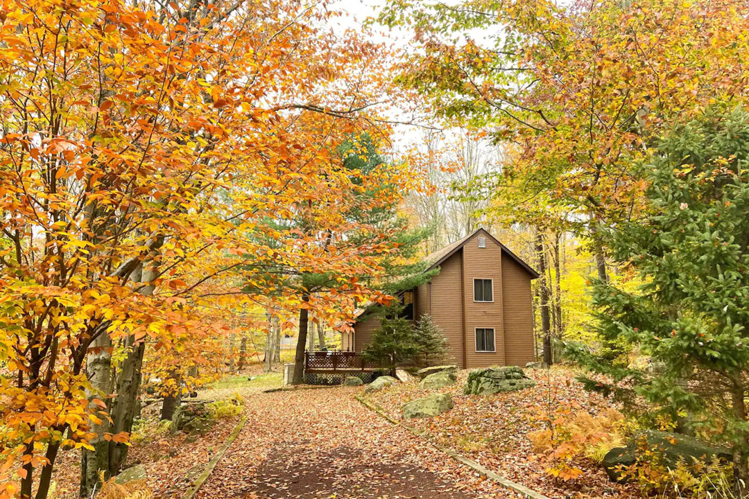 14 Best Poconos Cabin Rentals for a PA Vacation | 2024 | Field Mag