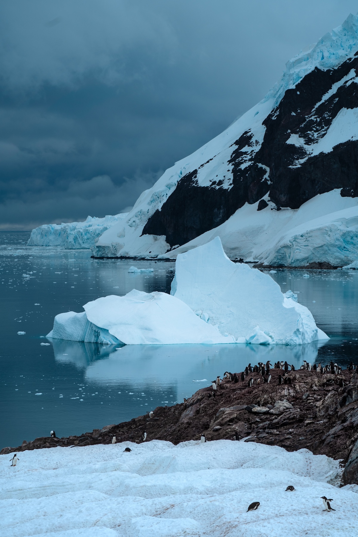 Expedition Guide Alex Krowiak on Photographing Antarctica | Field Mag