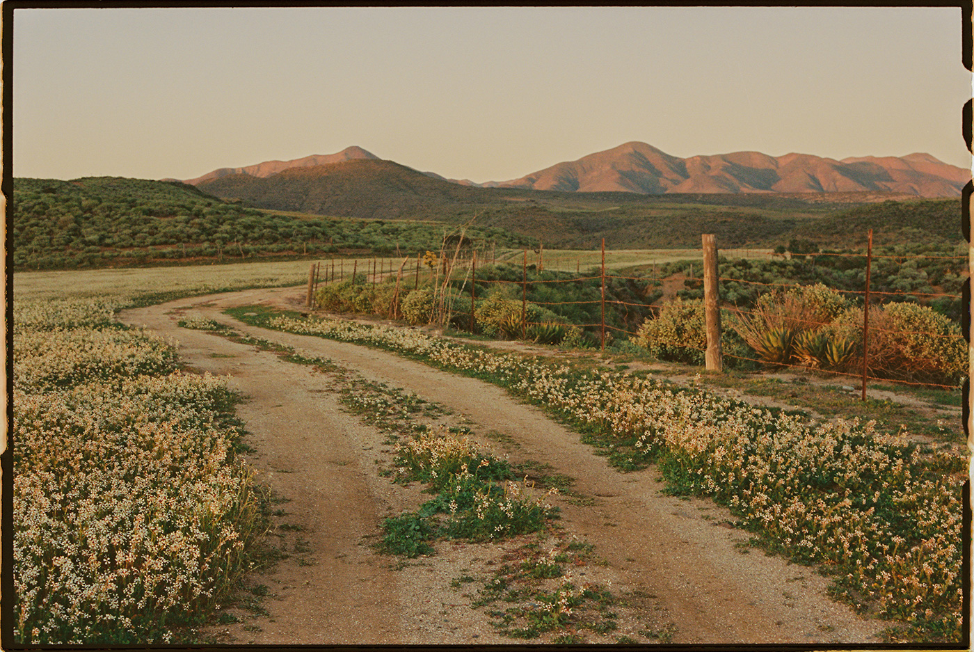 Baja California Road Trip Photography by Brian Chorski | Field Mag