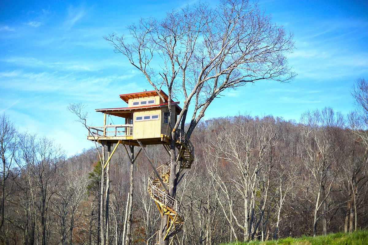 Treehouse Rentals in NC: 8 Ways to Camp in the Canopy | Field Mag