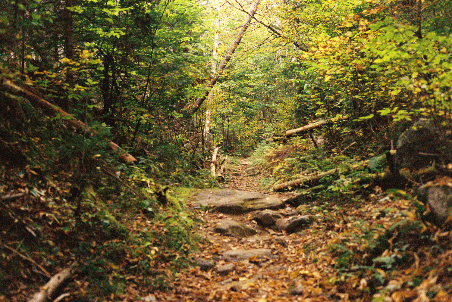 Fall Fly Fishing & Backpacking in NY's Adirondacks | Field Mag