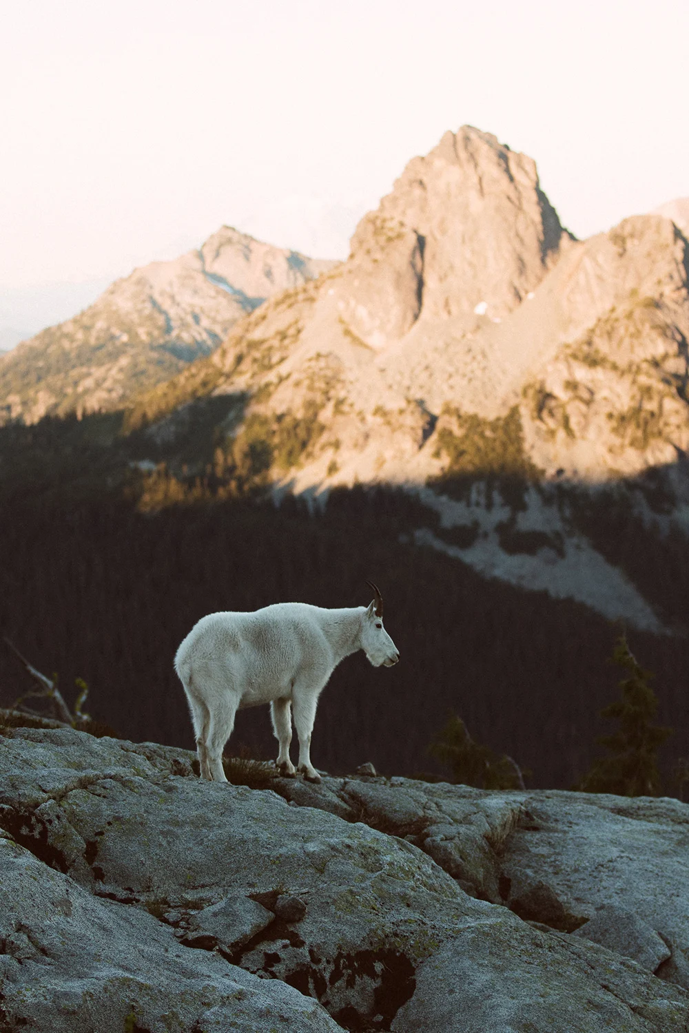 Best Solo Hikes in WA's Alpine Lakes Wilderness | Field Mag