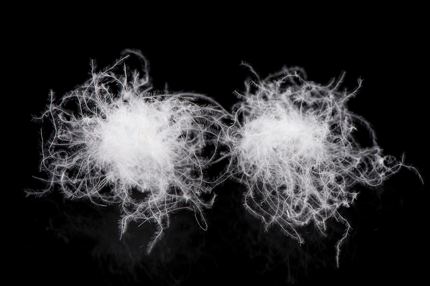 Down Fill Power Guide: Experts Explain All to Know About Down | Field Mag