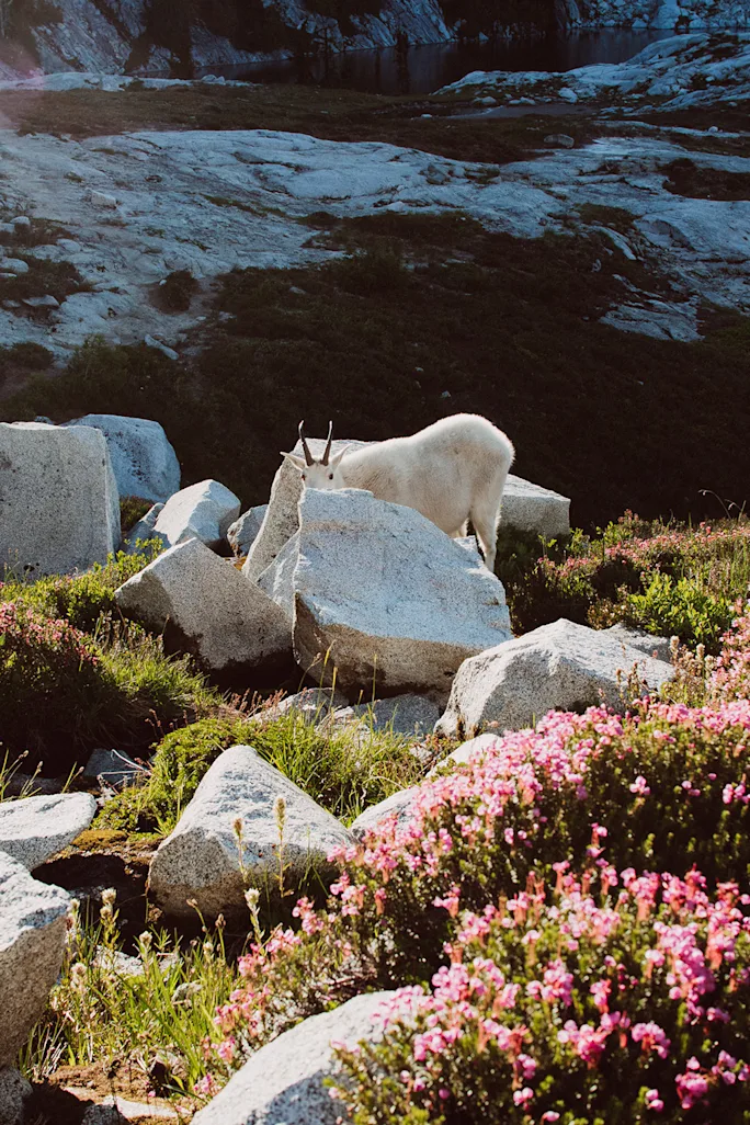 Best Solo Hikes in WA's Alpine Lakes Wilderness | Field Mag