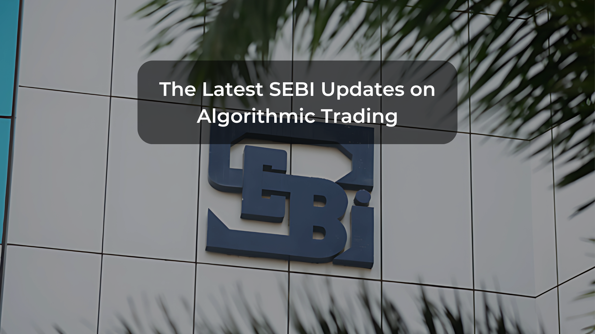 The Latest SEBI Updates on Algorithmic Trading (2024)