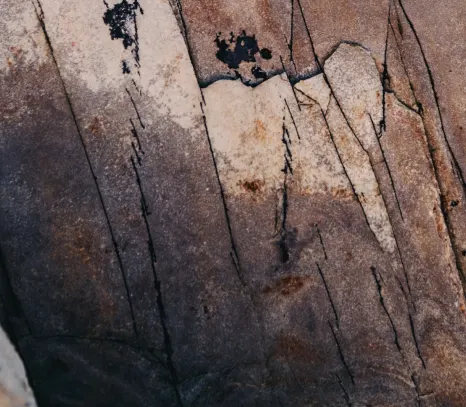 ThinkOnward - Accelerating Energy Industry Innovation