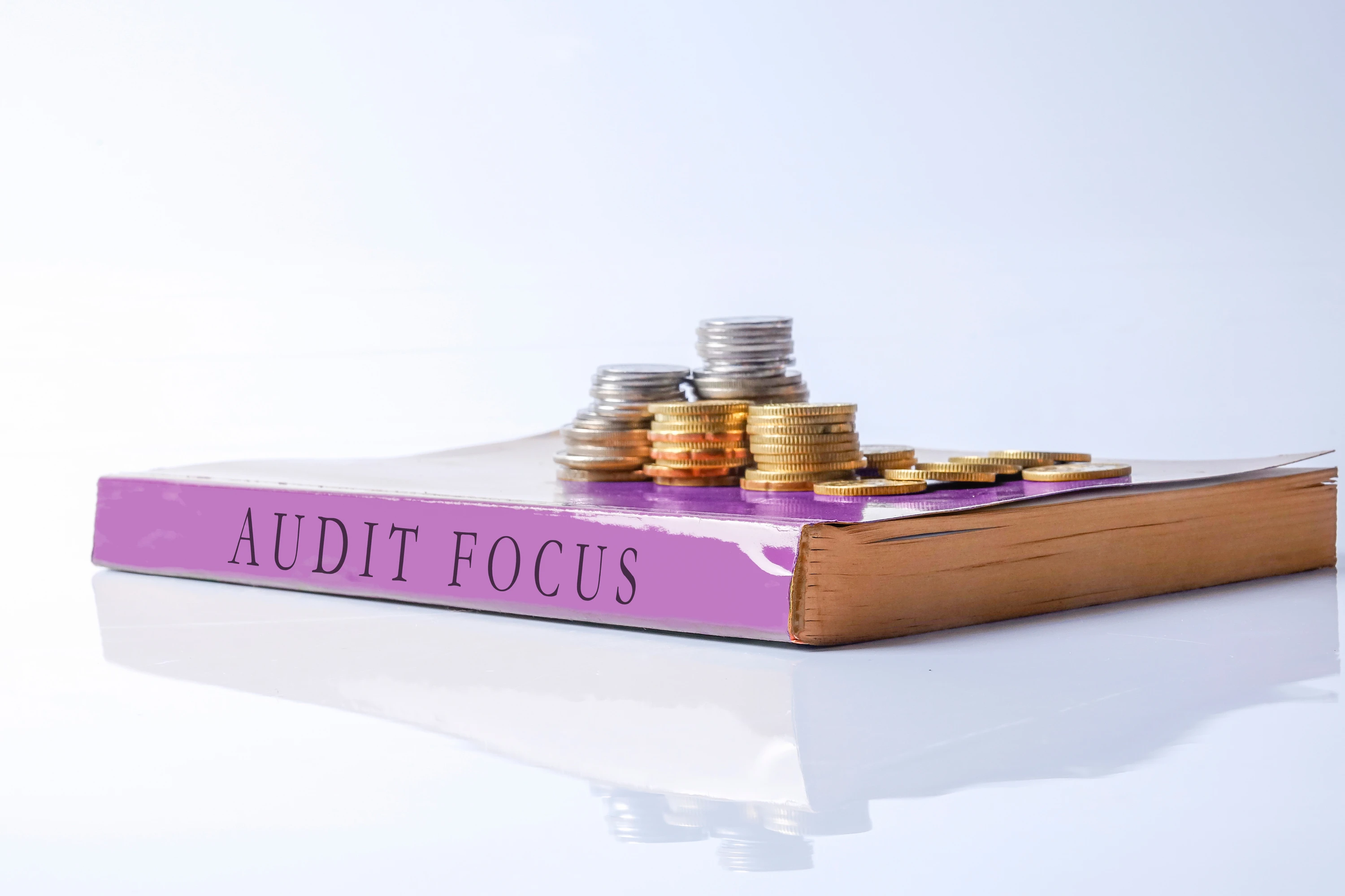 Auditing best practices: What academic fraud research reveals ...