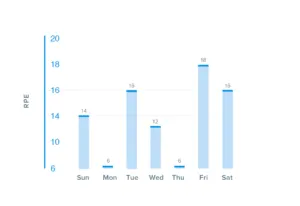 Overview Of The Borg Scale Of Perceived Exertion How To Use Borg ...