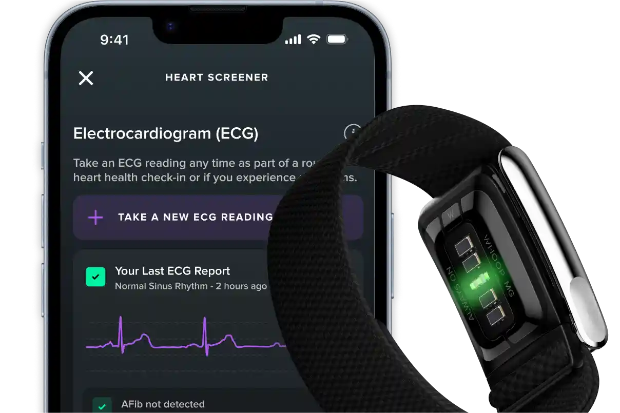 Available at $359/yr