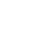 WHOOP Peak Membership Plan | Advanced Insights for Healthspan & Performance