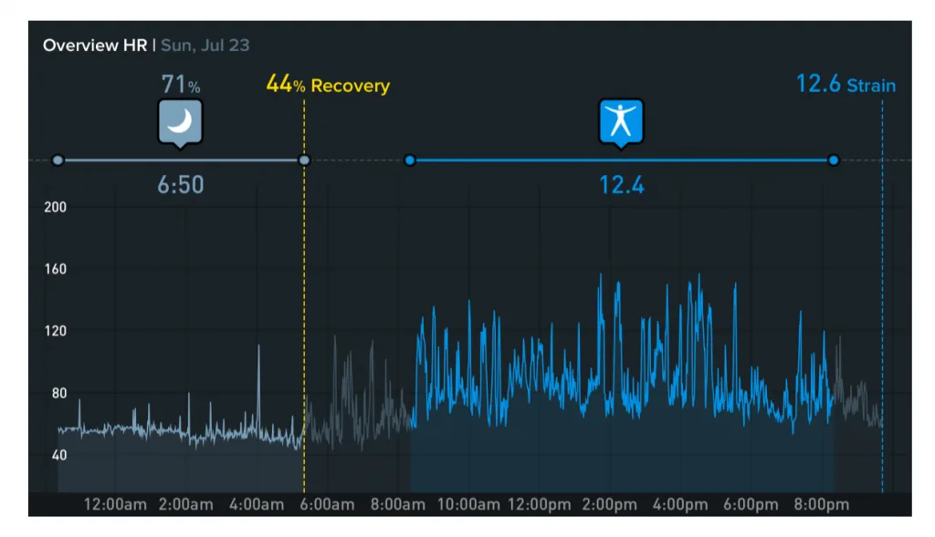 The Strain of Freediving 40 Feet Below the Ocean's Surface - WHOOP
