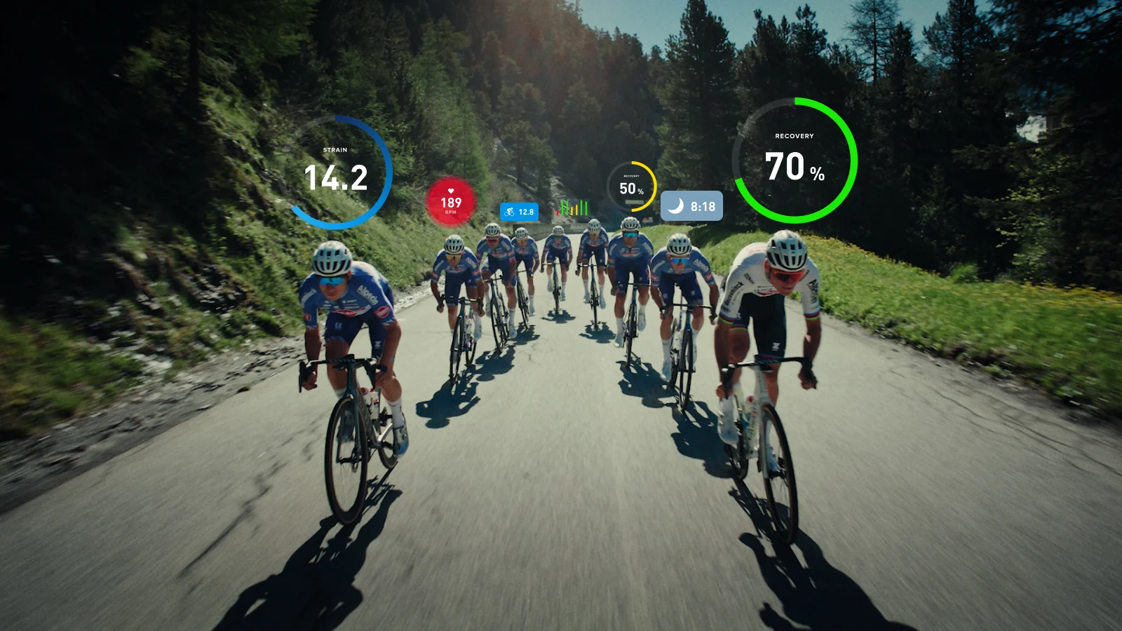 Exploring the Difference: What Sets WHOOP Apart