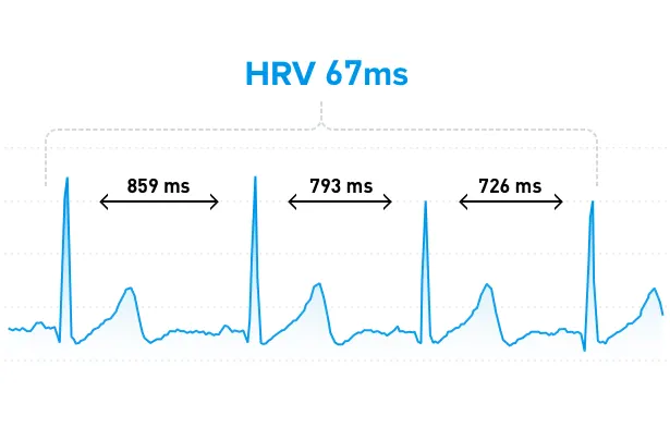 Heart Rate Variability (HRV): Everything You Need to Know