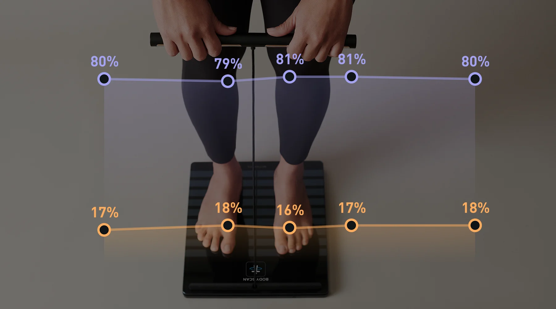 All-new Body Composition and Weight trends