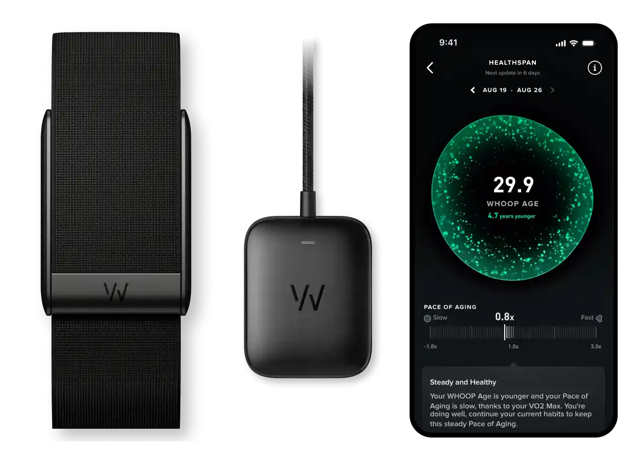 WHOOP One Membership Plan | Sleep, Stress & Recovery Tracking