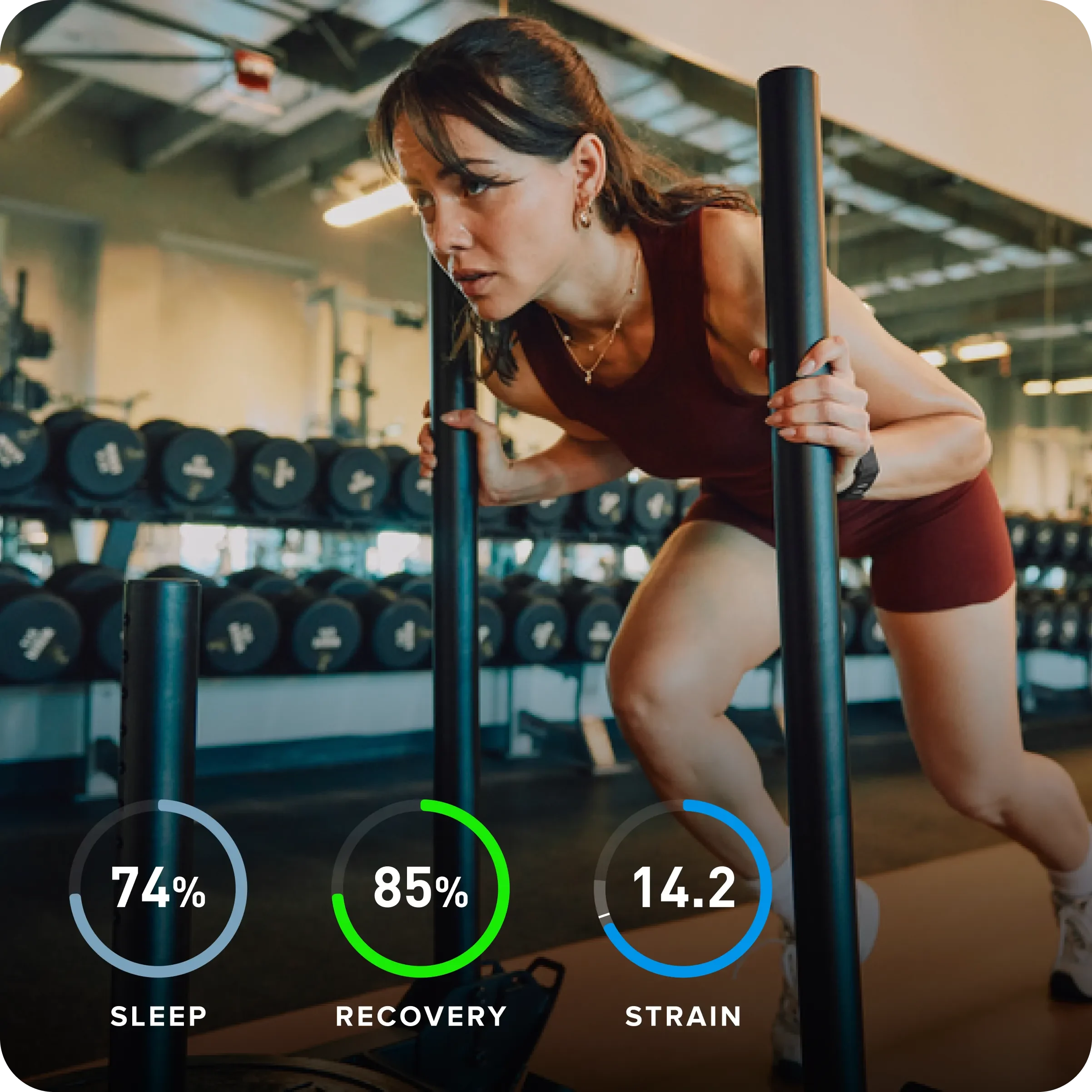 WHOOP One 5.0 - Health And Fitness Tracker - Lebanon