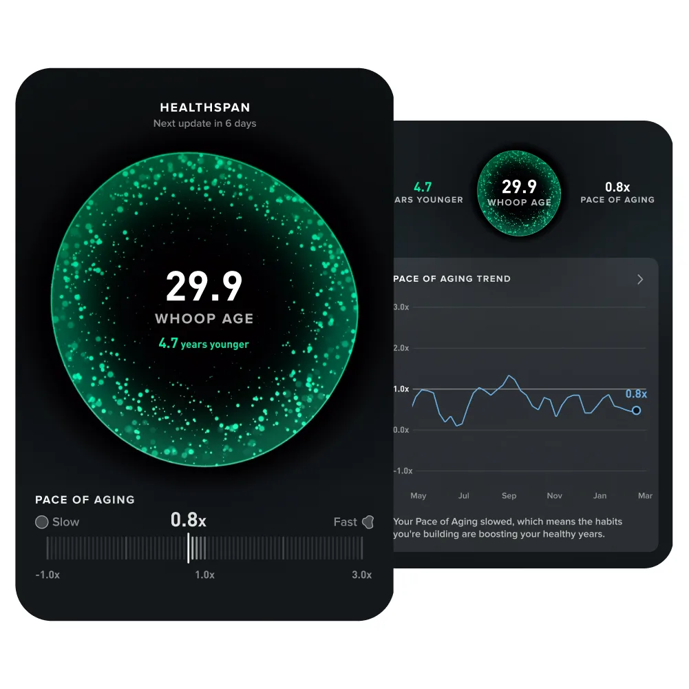 Healthspan: Extend Your Prime for Years to Come