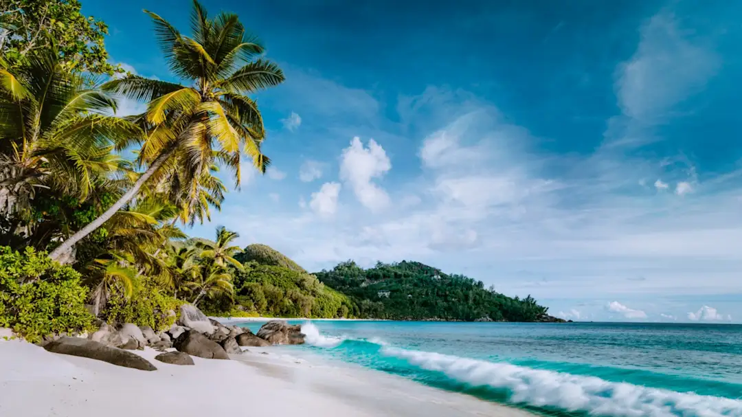 Surf aux Seychelles : nos conseils et offres | Tourlane