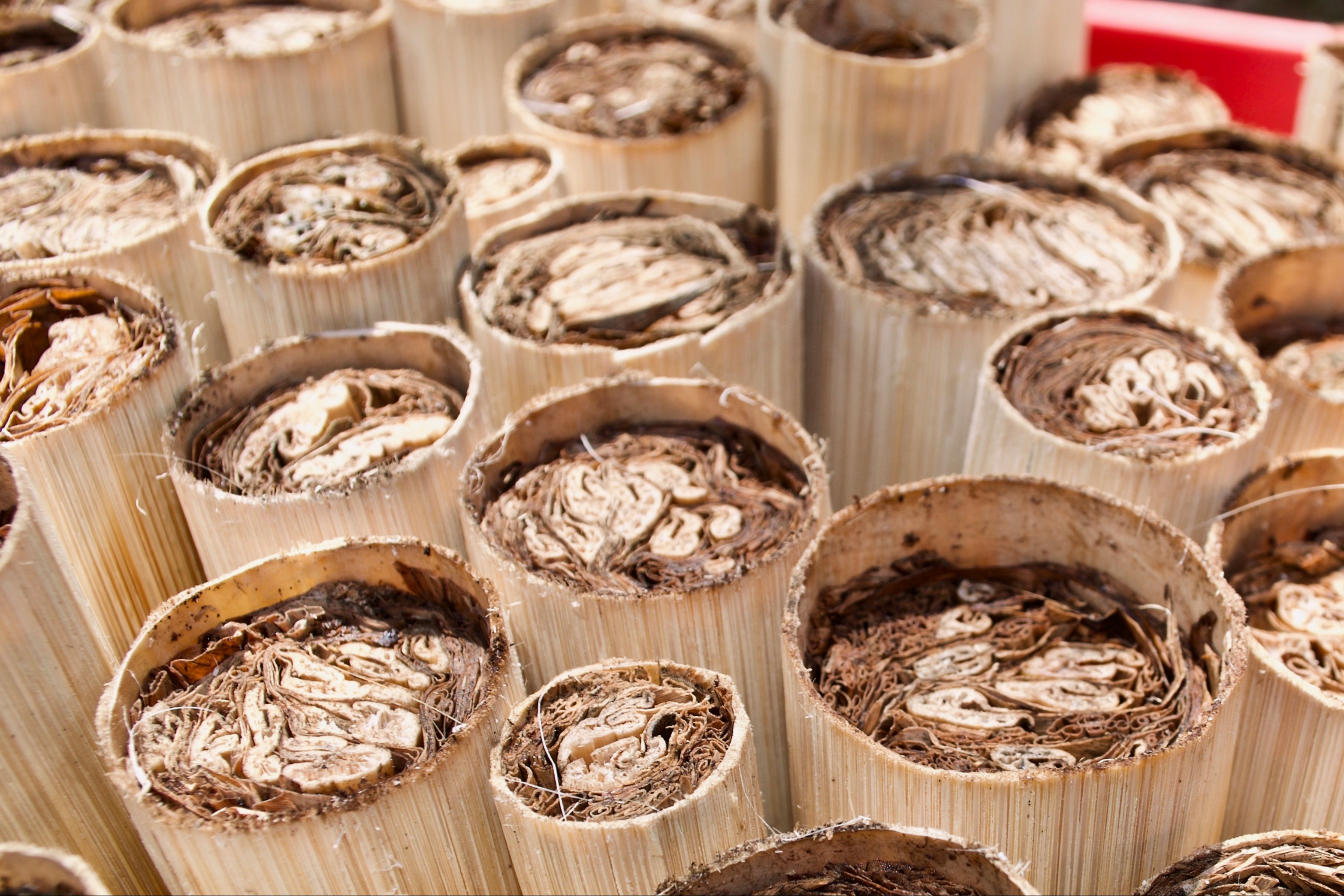 Essen in Kambodscha: Top 10 Nationalgerichte | Tourlane