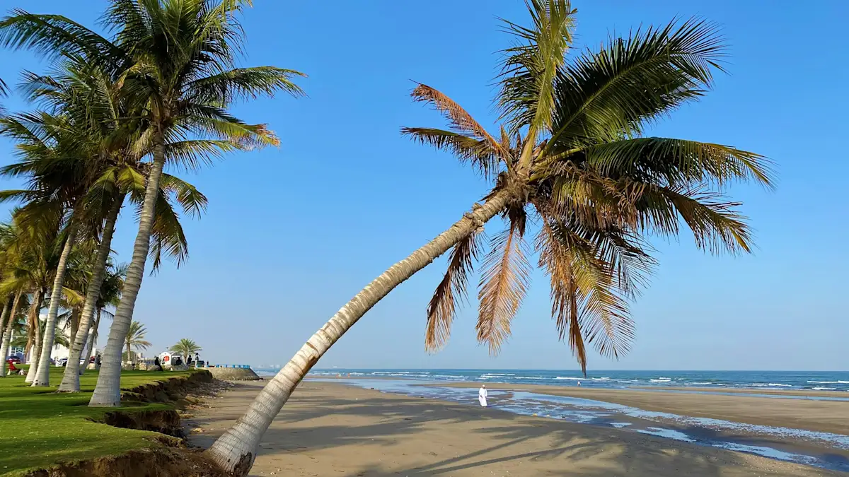 Die 10 besten Strände im Oman | Tourlane