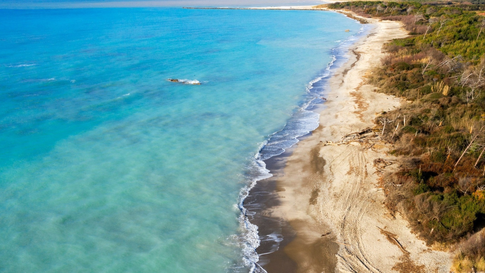 Les 12 plus belles plages de Toscane en 2025 | Tourlane