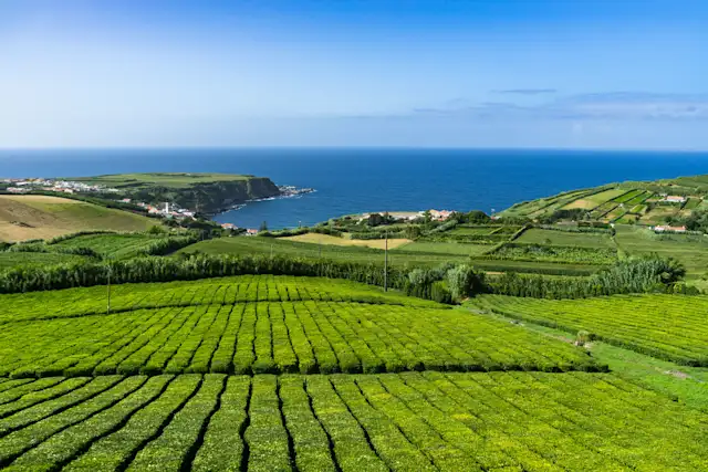 How Much Does a Vacation to The Azores Cost? Our Price Overview