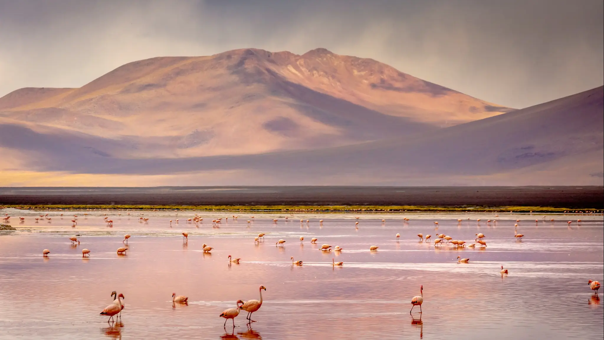 Top 12 Sehenswürdigkeiten in Bolivien | Tourlane